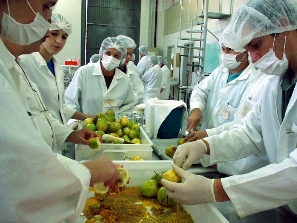 Emater/RS-Ascar estima que a cada dois dias úteis uma agroindústria é ...