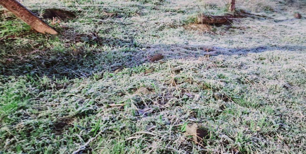 Veranópolis registra a menor temperatura do ano nesta terça-feira ...