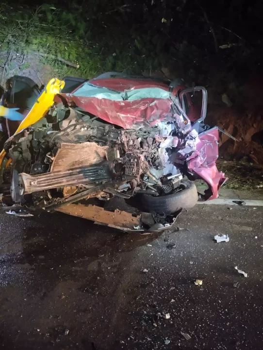 Grave acidente entre carro e caminhão com carga viva deixa um morto e dois feridos na BR-470 em ...