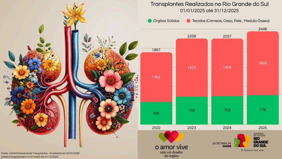Rio Grande do Sul registra em 2025 o maior número de transplantes de ...
