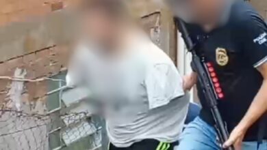 Julgamento de acusado de maus-tratos contra gatos mobiliza ativistas em ...
