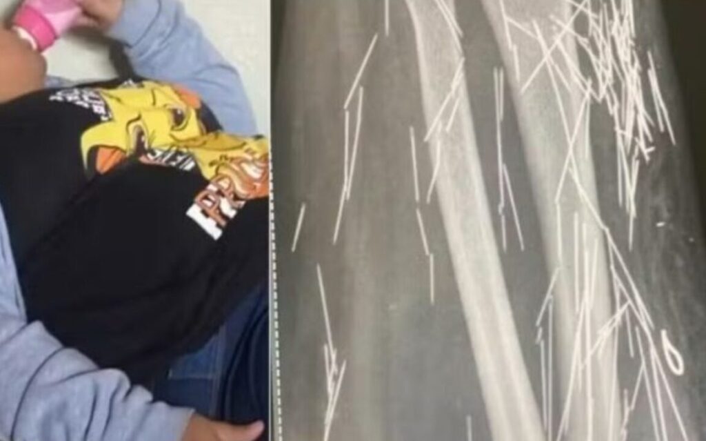 Mulher presa em Santa Catarina já havia se passado por criança no Ceará ...