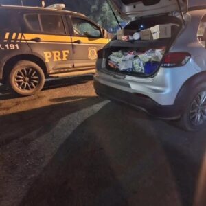 PRF prende homem com carga ilegal de agrotóxicos que seria levada para ...