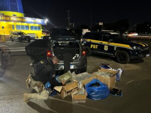 PRF prende homem com quase 40 quilos de skunk em Porto Alegre | Studio ...