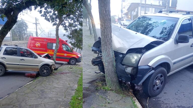 Homem fica ferido após carro colidir contra árvore em Bento Gonçalves ...